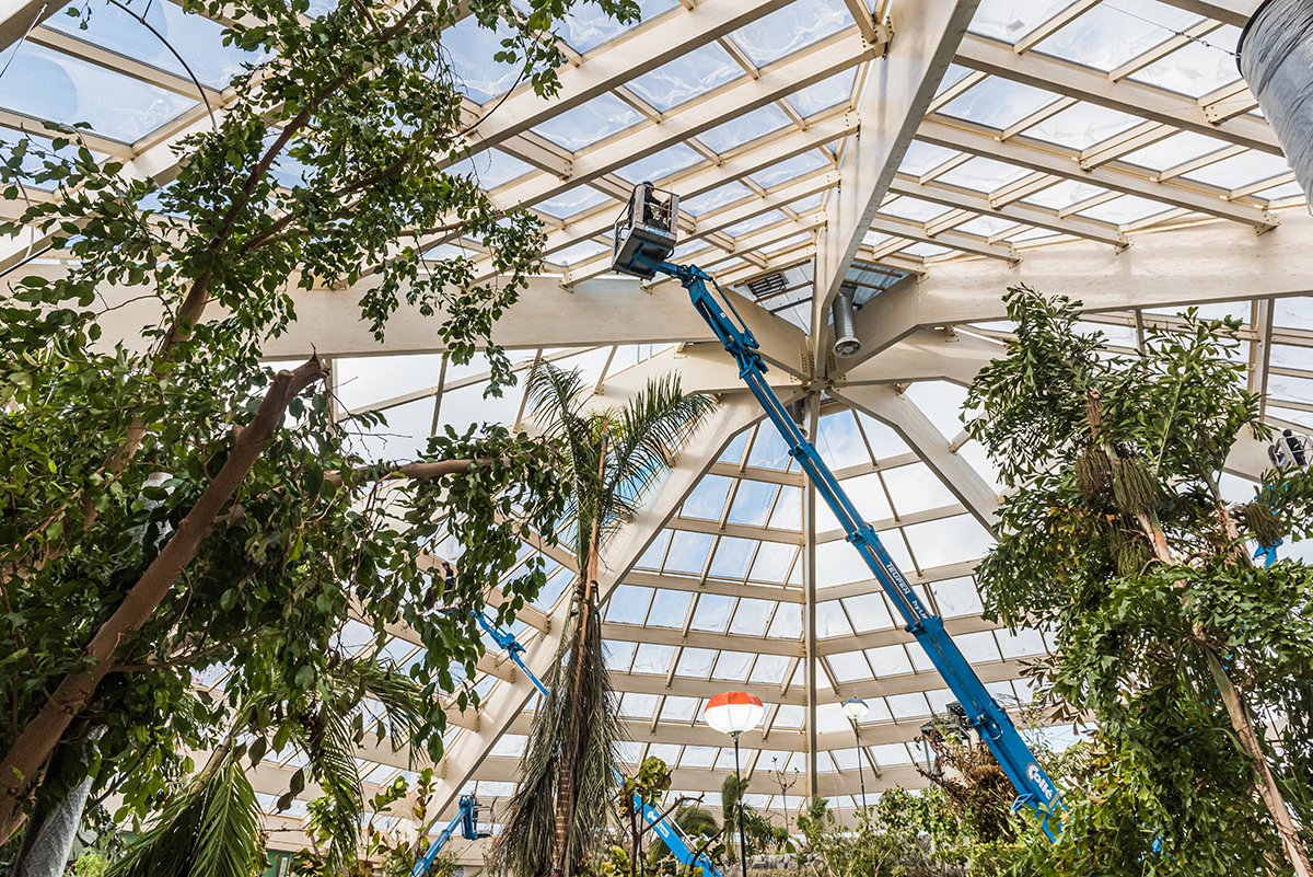 SUPA - Complex project aan zee - Woema